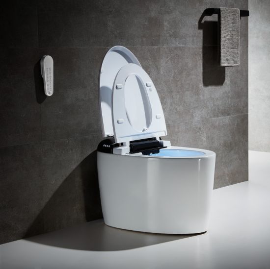 Electric Bidet Toilet Seats in Australia: Everything You Need to Know